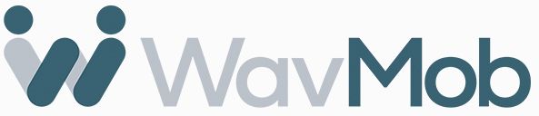 What is The Best WAV (Wheelchair Accessible Vehicle) Conversion For You? - Wavmob