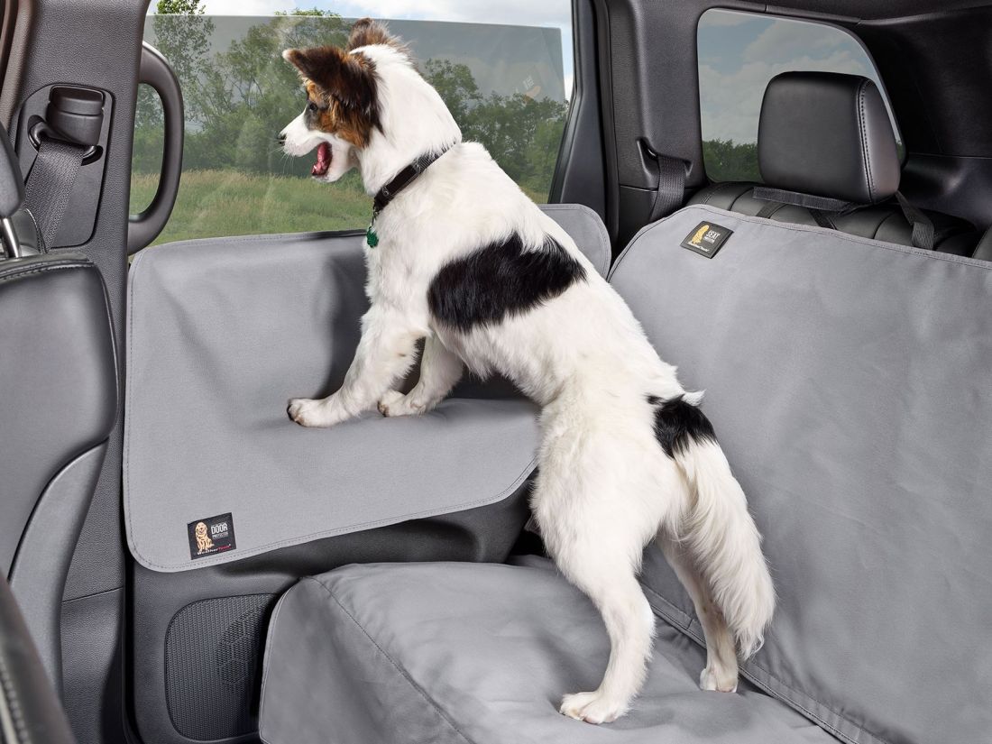 10 Must-Have Car Accessories for Dogs - The Motorworks Rotherham