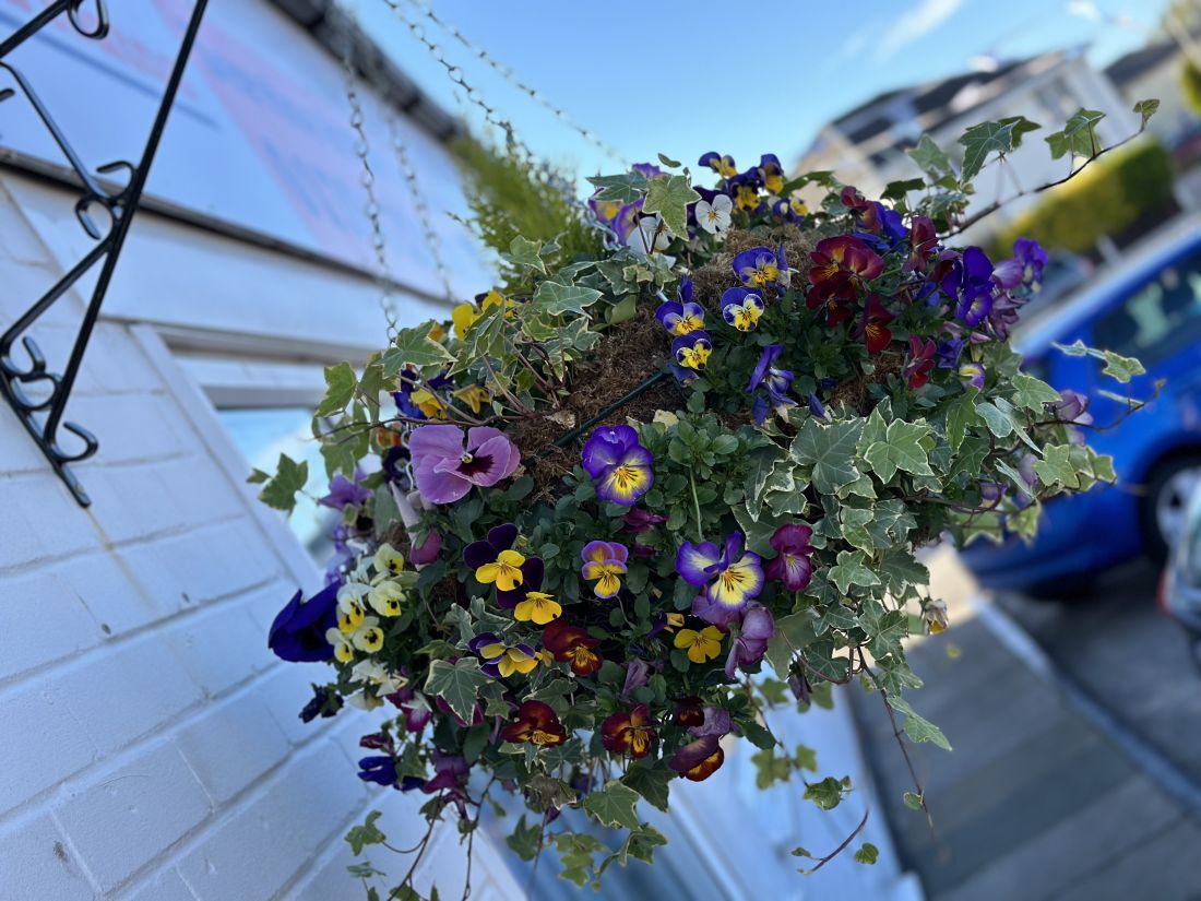 SPRING at SHARP Automotive - Sharp Automotive LTD