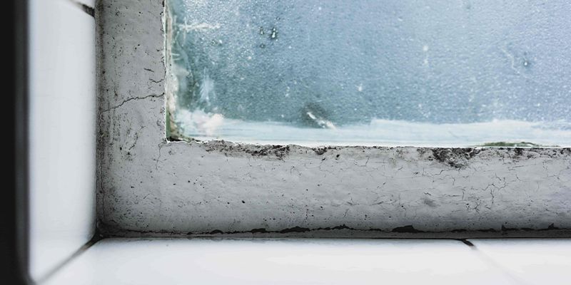 How to Spot Damp in Your Motorhome - Cambridge Motorhomes