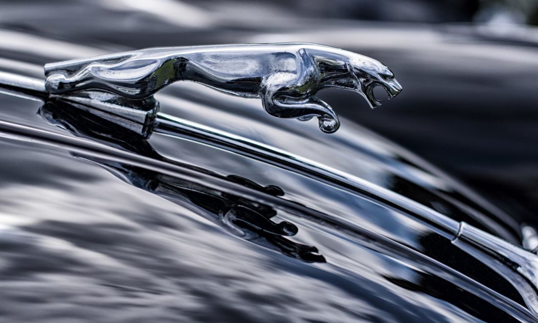 The History of Jaguar: A Deep Dive into a British Luxury Brand - Dace ...