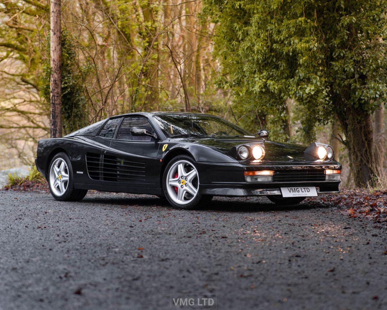 Ferrari Testarossa Black