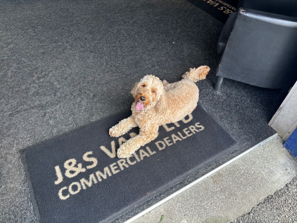 Mercedes-Benz Sprinter 516 CDI MINIbus Wheel Chair Aceess Twin Wheel Auto